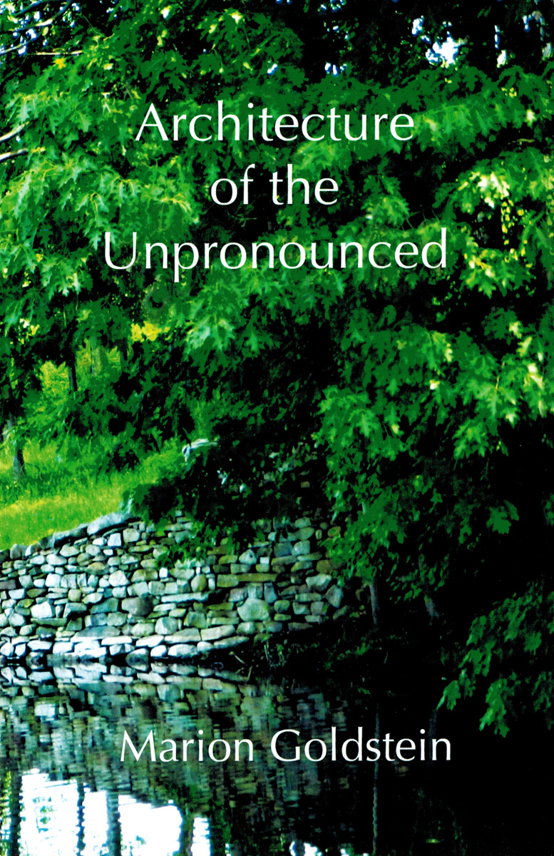 Previous Books – Marion Goldstein